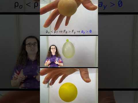 Buoyant Force Demonstrated: Three Objects in Water