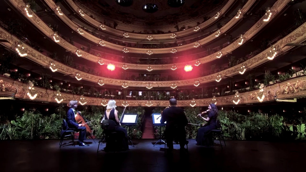 Spanish Opera House Holds Concert For Over 2,000 Potted Plants