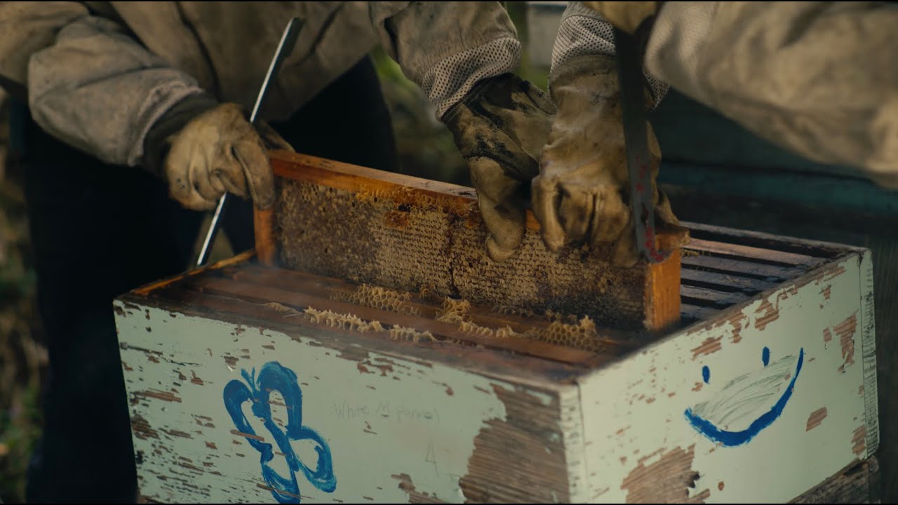 Meet the Maker: Honey-From Hive to Jar