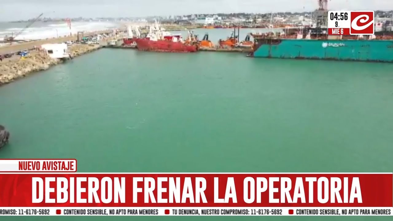 Una ballena apareció en el Puerto de Mar del Plata y tuvieron que ...
