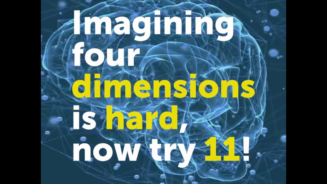 The human brain builds structures in 11 dimensions, discover scientists ...