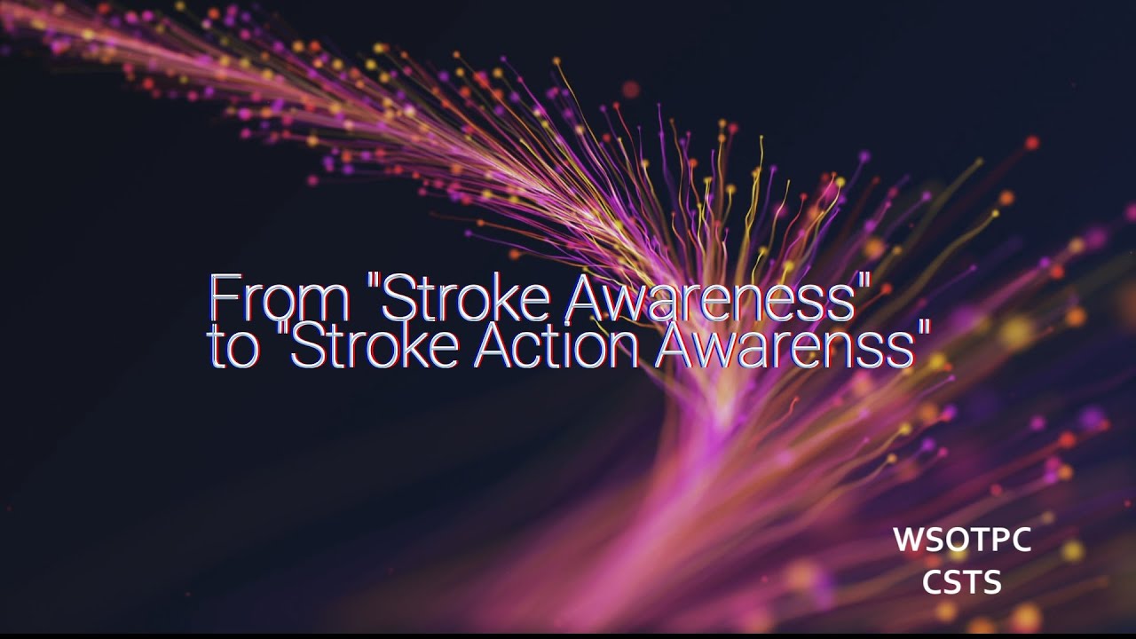 Stroke Action Awareness-SAA