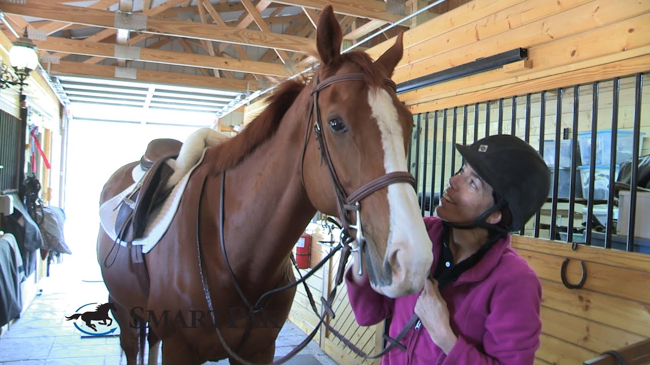SmartPak Monday Morning Feed: Why Use ColiCare? | HORSE NATION