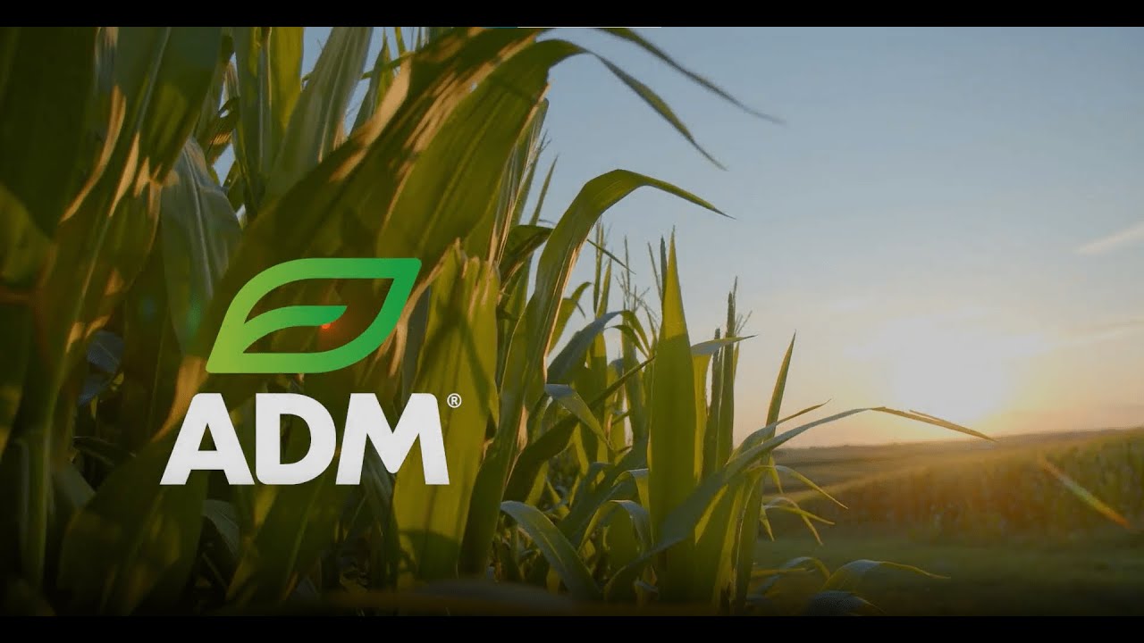 ADM Biosolutions: Innovating Industrial Ingredient Biosolutions