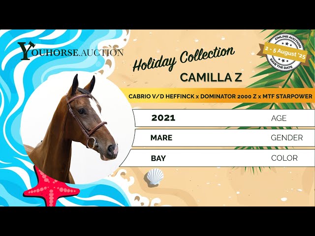 Youhorse.auction | Camilla Z