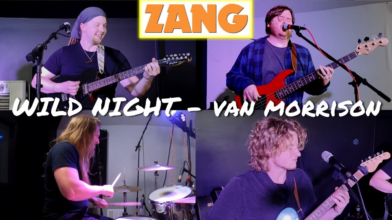 Hire Zang - Cover Band in Holly, Michigan
