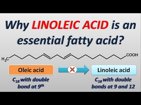 Linoleic Acid - 60-33-3 Latest Price, Manufacturers & Suppliers