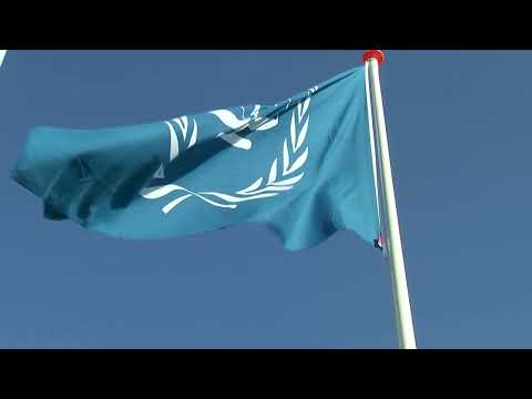 ICC to probe possible war crimes in Ukraine