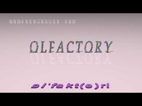 olfactory - pronunciation + Examples in sentences and phrases