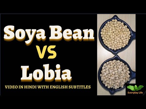 Soya bean Vs Lobia | Soybeans Vs Black Eyed Peas | सोयाबीन Vs लोबिया | Everyday Life # 217