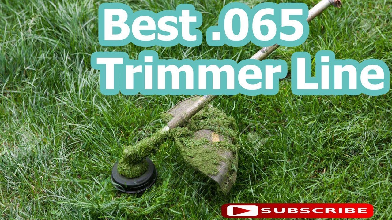 7 Best .065 Trimmer Line