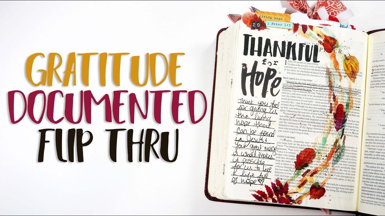 Gratitude Documented Flip Thru