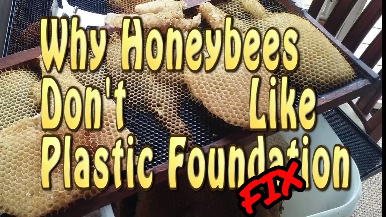 Why Aren't The Bees Building Comb / Plastic Foundation Issues FIXED