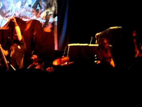 Custom V Hawk for Fernandes Guitars/Municipal Waste