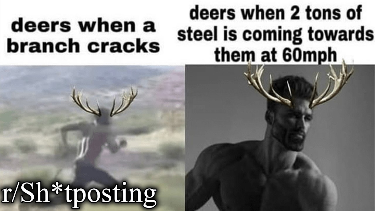 r/sh*tposting | hello there