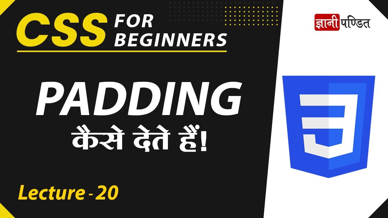 CSS Padding | Lecture 20 | CSS for Beginners