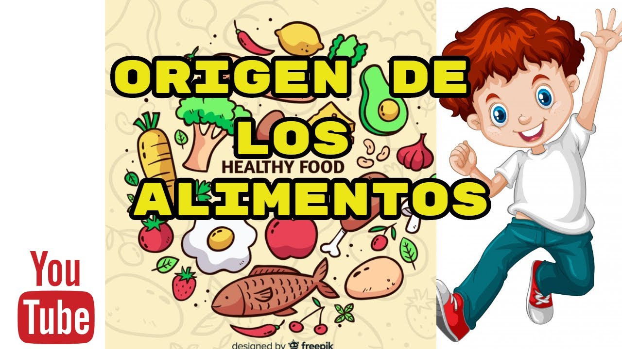 Origen de los alimentos , vegetal , animal y mineral  (PARA NIÑOS )/video educativo