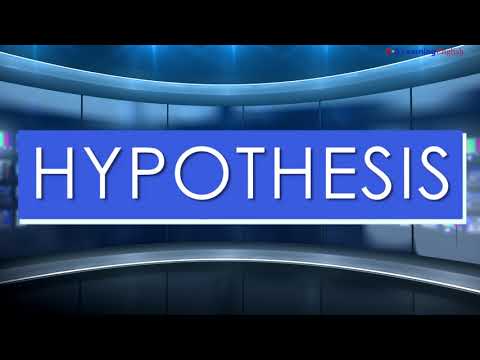 News Words: Hypothesis