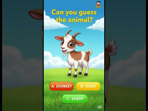 Can You Guess the Animal?