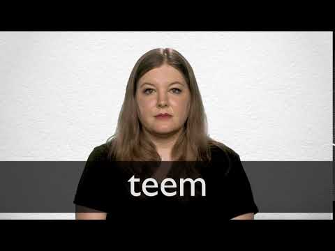 TEEM definition and meaning | Collins English Dictionary