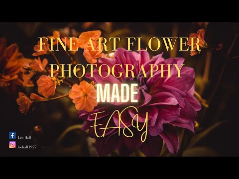 flower Photography Made Easy On a Budget.