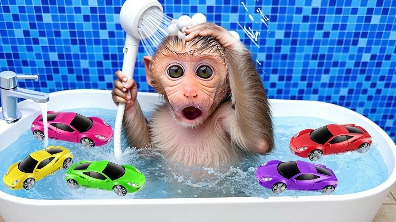 Monkey Baby Bon Bon bath in a bathtub with rainbow fish and play in the park with ducklings
