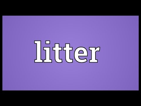 Litter Meaning