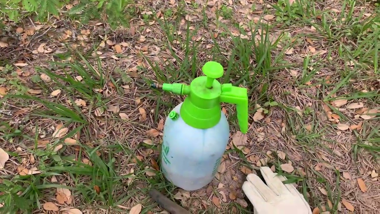 Removing Thorny Plants