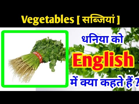 धनिया को इंग्लिश में क्या कहते हैं dhaniya ko english mein kya kahate hain #धनिया #dhaniya #shorts