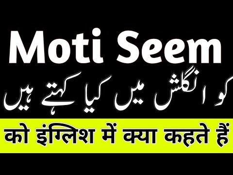 moti seem ko english mein kya kahate hain | moti seem ka matlab kya hai | moti seem ka english,