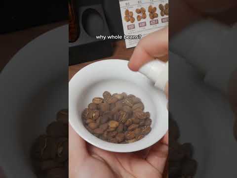 Pre-Ground or Whole Beans? ##coffeefacts #sciencefacts #wirsh