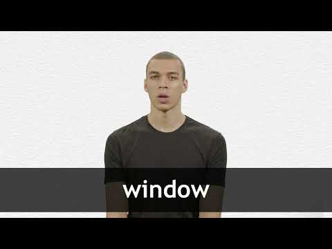 WINDOW 释义 | 柯林斯英语词典