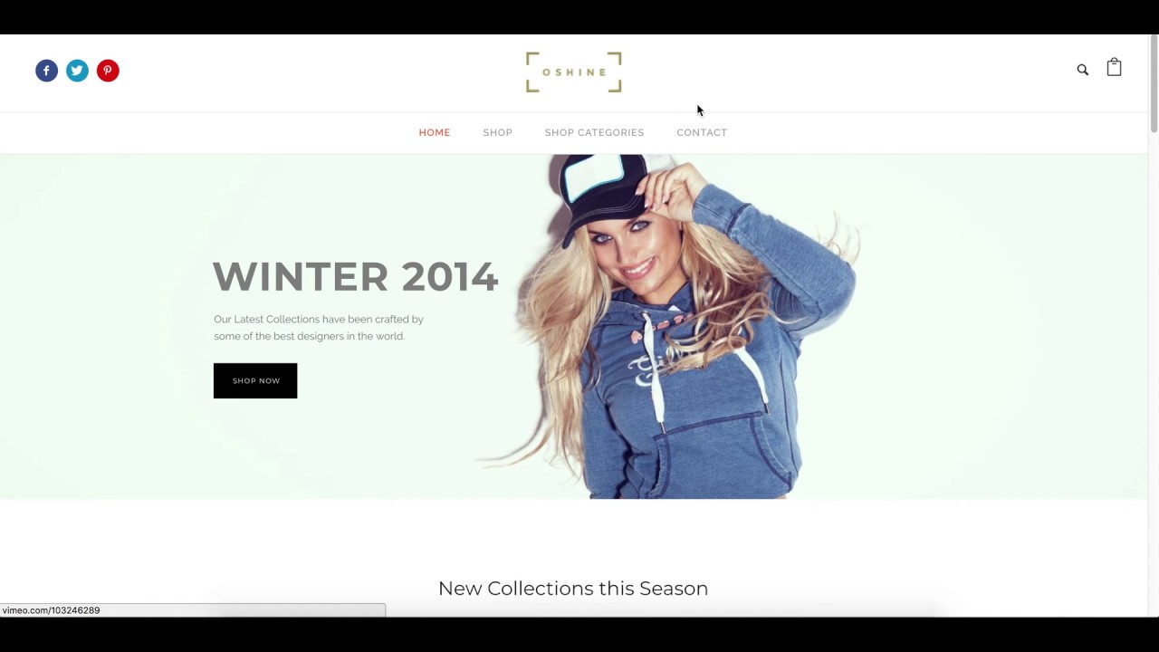 Oshine WordPress Theme - Installation - Customisation - Demo