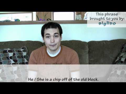 How to say "a chip off the old block" in Spanish (Día 74)