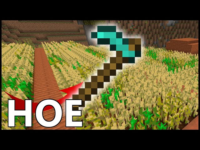Top 5 uses of hoe in Minecraft