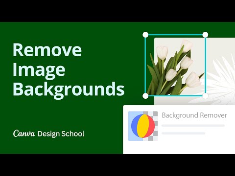 Remove Image Backgrounds | Editing Photos on Mobile