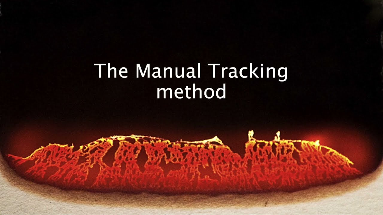 Flame Tracker v1.2.0: Manual Tracking