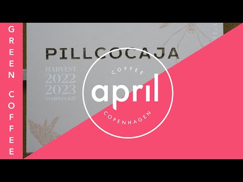 Green Coffee Selection from Pillcocaja - Ecuador | Coffee with April #257