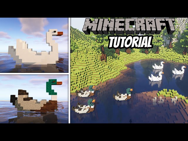 Duck Minecraft Map