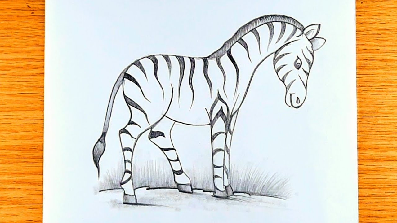 Zebra drawing realistic // How to draw a zebra easy // Zebra drawing  ( @TaposhiartsAcademy )
