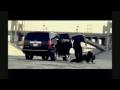 T.I.Ft. Rihanna - Live Your Life With Lyrics!