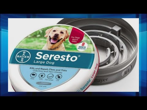 Report raises questions about popular flea collar