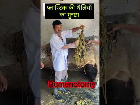 Rumenotomy l Dr Umar Khan