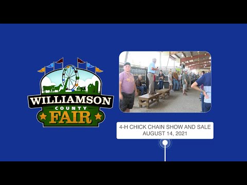 2021 W.C. Fair - 4-H Chick Chain Show and Sale - Aug. 14, 2021