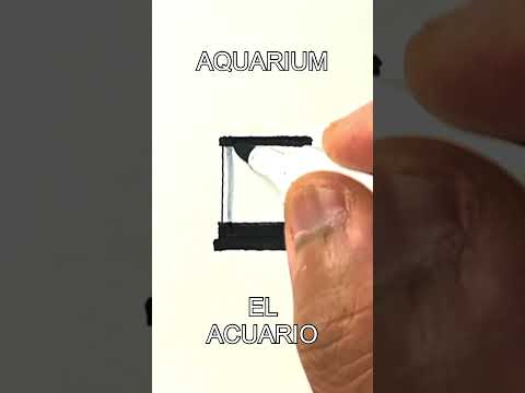 Learn Spanish! ¡Aprenda Inglés! AQUARIUM : EL ACUARIO
