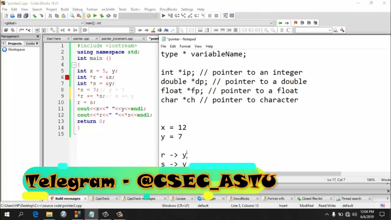 Lecture 11 Pointer