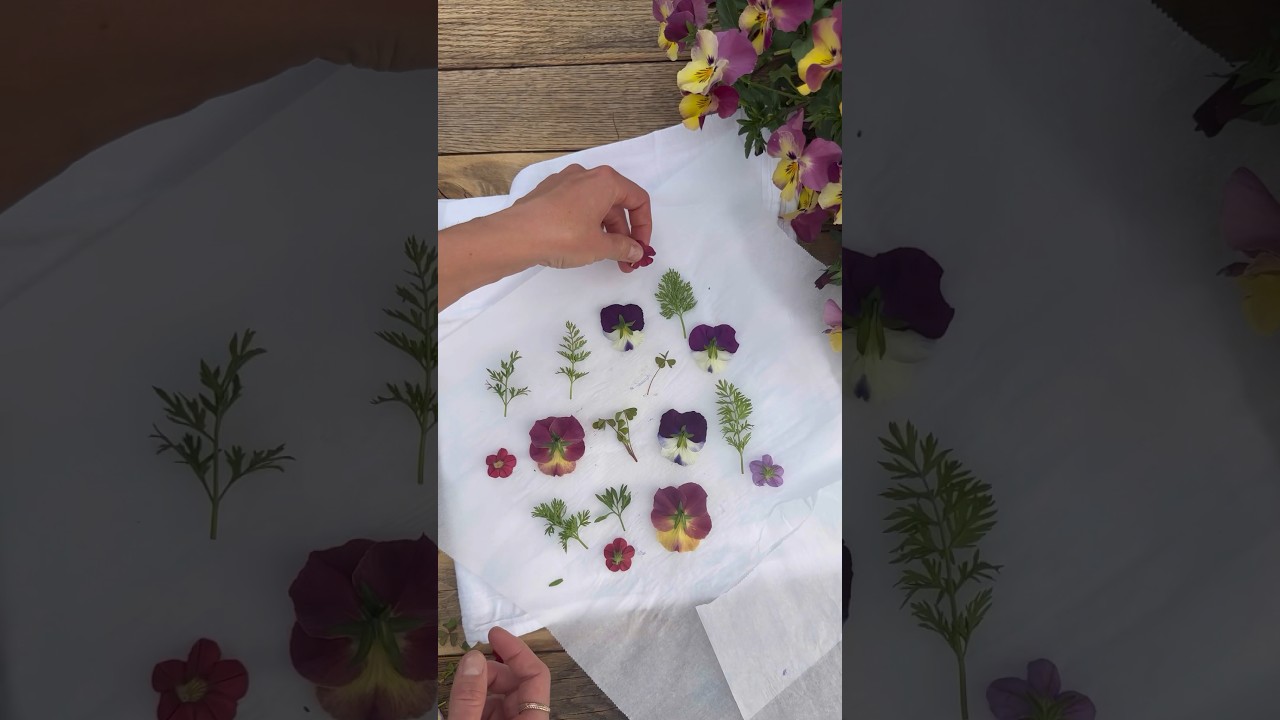 Flower pressing with clothing iron