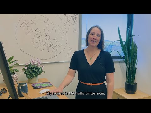 Michelle Linterman: Asking the age-old question
