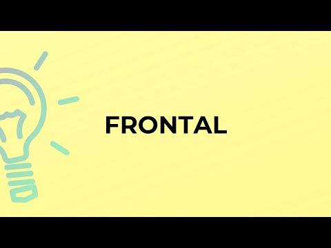 What is the meaning of the word FRONTAL?