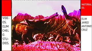 Cierre Vhs Dinosaurio Watch HD Mp4 Video Download Free